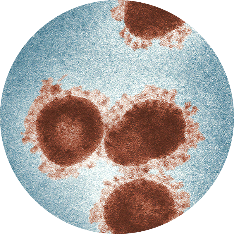 asymmetric-10 – 반짝반짝열매